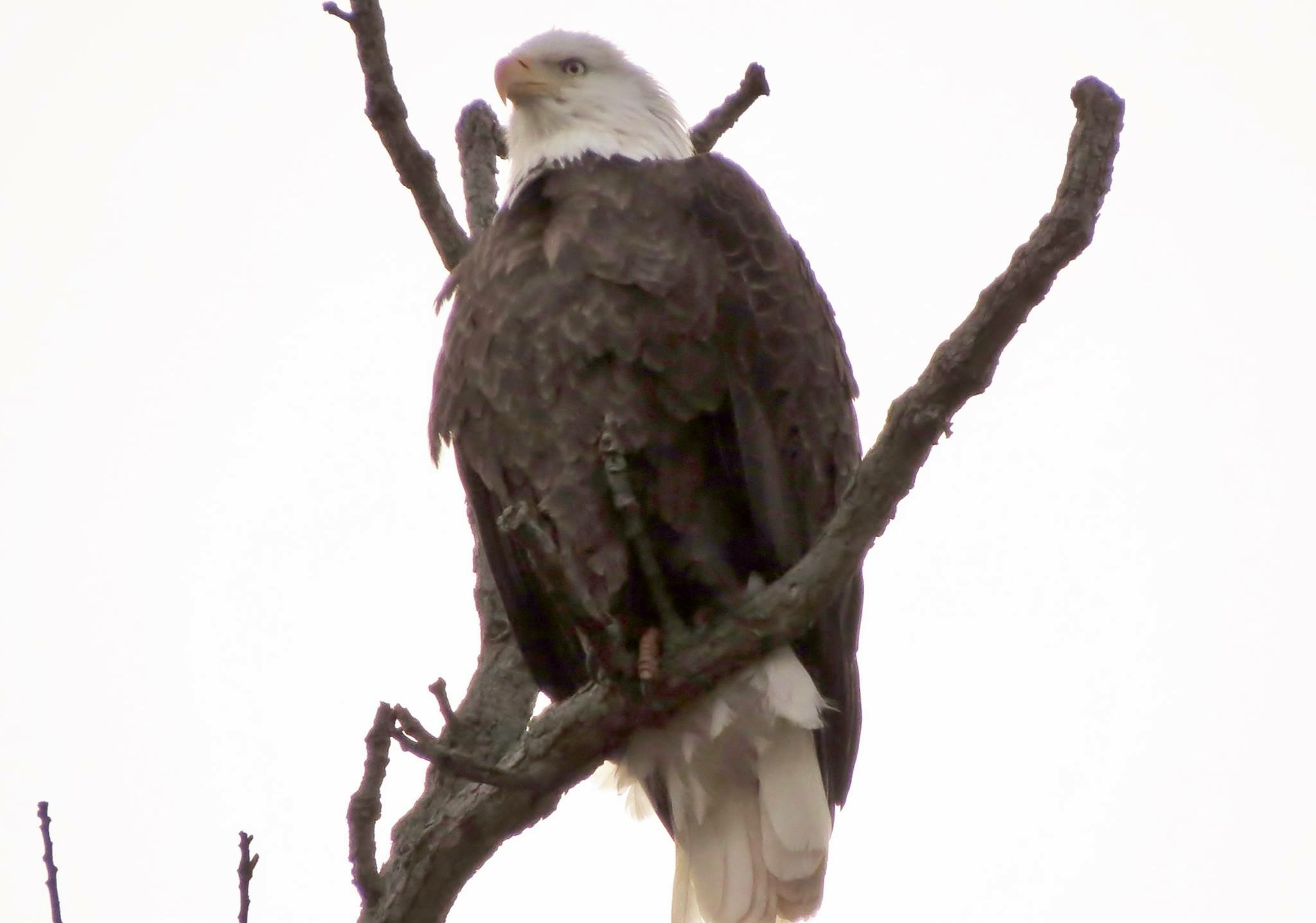 Slideshow / City Gallery Slideshow / Linton, Indiana